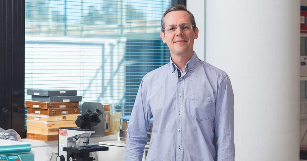 Taking aim at drug resistant tumours | Flinders Foundation