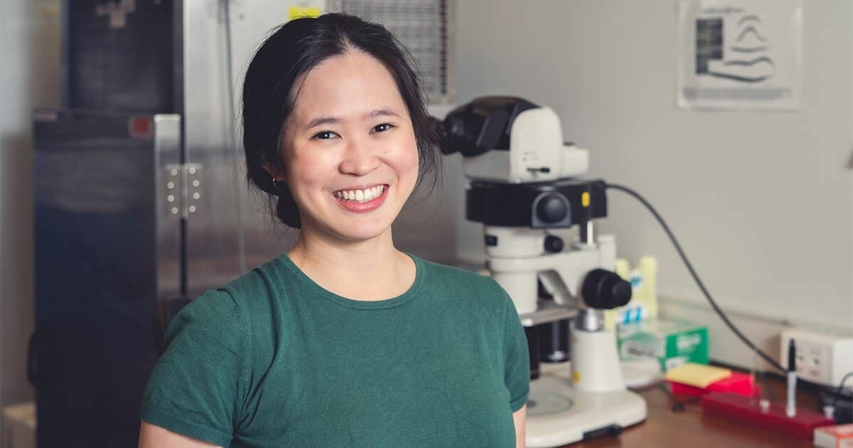 Can worms unearth new MND treatments? | Flinders Foundation